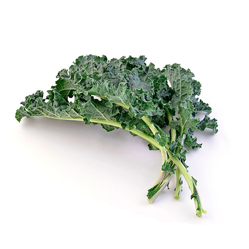 Cavolo riccio | Blog | Azienda Agro Pontino